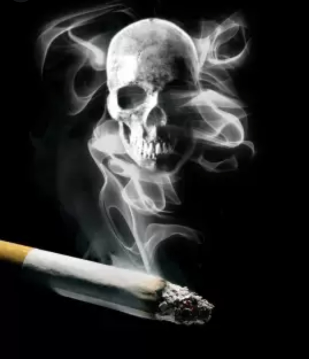 NIKOTIN I KOFEIN - Kiss INFO